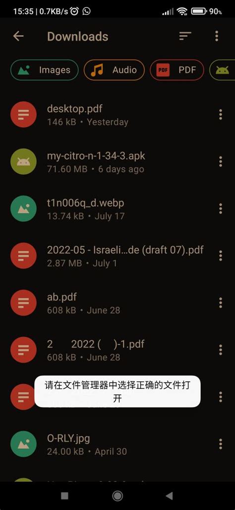 Download Manager Unable To Open Downloaded Pdf Files Directly From
