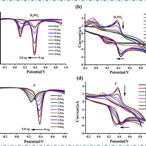 The Differential Pulse Voltammetry Dpv A And Cyclic Voltammetry Download Scientific Diagram