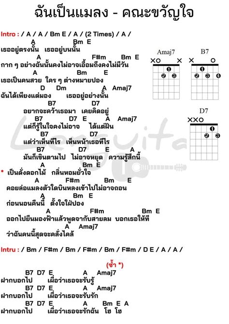 คอร์ดเพลง ฉันเป็นแมลง คณะขวัญใจ Lenguitar
