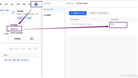 Springboot 项目整合 Ai 文心一言）springboot接入ai Csdn博客