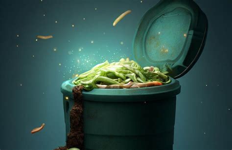 Busting Composting Myths Separating Fact From Fiction Composting