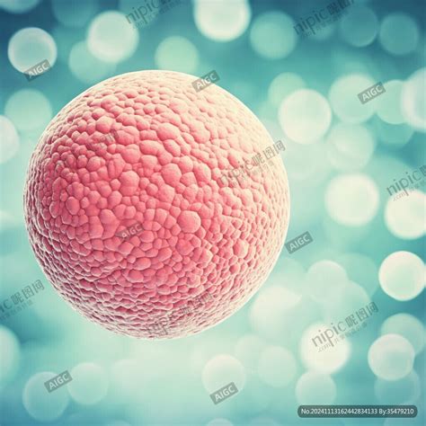 Ai创作图人体胚胎 整形细胞素材 干细胞 人工受精 宇宙胚胎 婴儿胚胎 高清胚芽素材 精卵 卵细胞 胚胎发育 胚胎移植 细胞增殖 体外受精 人胎盘 输卵 昵图网
