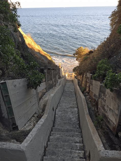 1000 Steps Paradise Dive Club