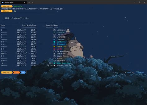 Win系列 Oh My Poshclink 美化你的终端 Powershell 或 Cmd 知乎
