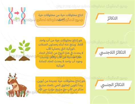 مطويه علوم التكاثر الصف الخامس ابتدائي