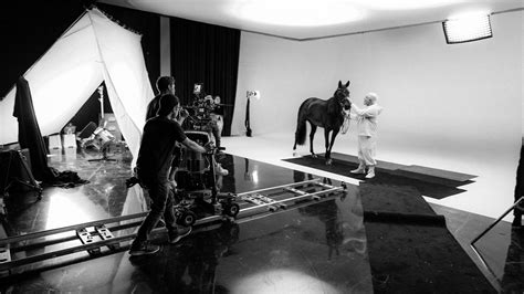 Arri Adds Monochrome Sensors To Its Rental Fleet But Why Digital