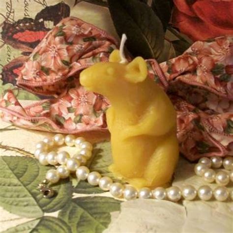 Programmer Cat Beep Boop Coding Short Sleeve Unisex T Shirt Etsy