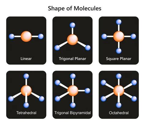 Shape Molecules Infographic Diagram Including Linear Trigonal Planar Square Planar