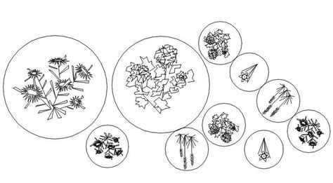 Landscape Cad Blocks Details In Autocad Dwg File Cadbull