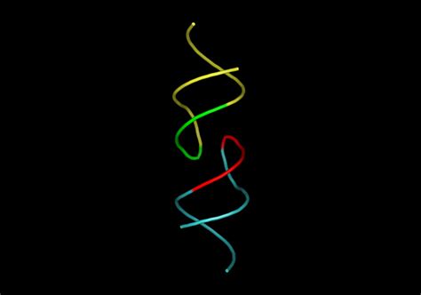 Large Rna Motifs Kissing Loop