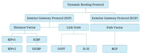Overview Static And Dynamic Routing Id Networkers Idnid