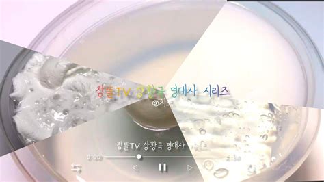 잠뜰tv 상황극 명대사 시리즈 시액 명대사 뜰팁 명언 슬라임 액체괴물 액시 액괴 화이팅 Youtube