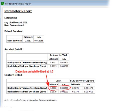 21 Parameter Report After Successfully Estimating The Parameters And