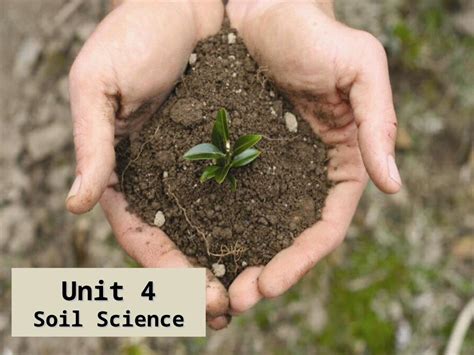 PPT Unit Soil Science Importance Of Soil What Is Soil Holds Water And Nutrients For Plants