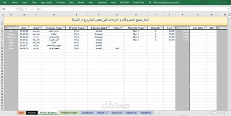 ملف اكسل احترافى لحساب تكاليف مشروع مستقل