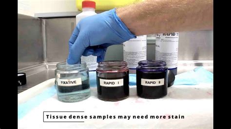 Ral Diff Quik Kit At Ellie Costello Blog