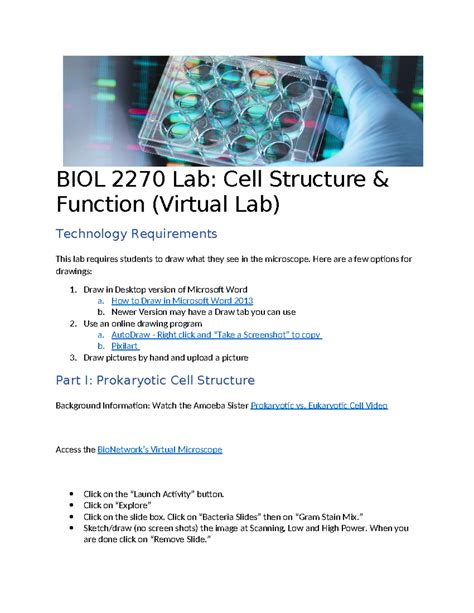 BIOL Lab Cells Structure Function Virtual Lab BIOL Lab Cell Structure Studocu