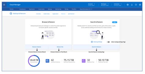 Cloud Backup Search And Restore Support For On Premise Connector