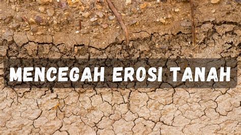 5 Cara Mencegah Erosi Tanah Youtube