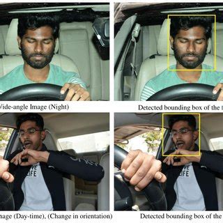 YoloV Results On Sample Images In Custom Dataset Download Scientific Diagram