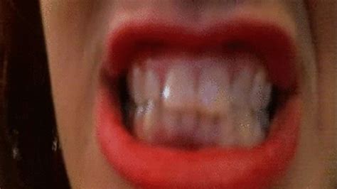 Chomp Chomp Chomp Violet Ness Clips4sale