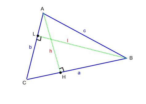 an arbitrary triangle a b c in which the side of length a quizlet