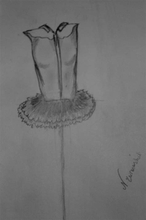 ჩემი ნახატები 2 Paradise