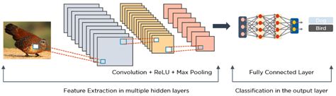 Top 10 Deep Learning Algorithms You Should Know
