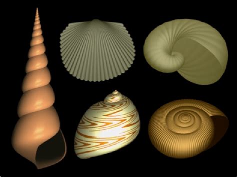 Polygonal Modelling