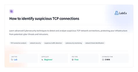 의심스러운 Tcp 연결 식별 가이드 Labex