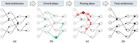 An Illustration Of The Grow And Prune Synthesis Paradigm Used In Nest 42 Download