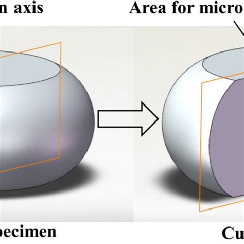The Area For Microstructure Observation Download Scientific Diagram