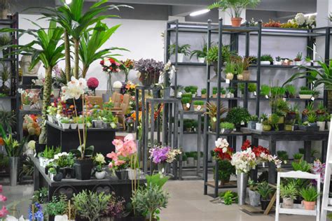 如今仿真花常应用于哪些领域 知乎