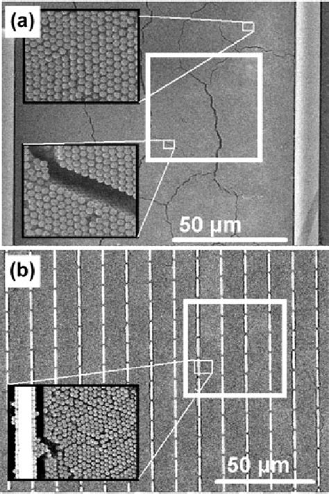 Top View SEM Micrographs Showing The Influence Of The Trench Width On Download Scientific