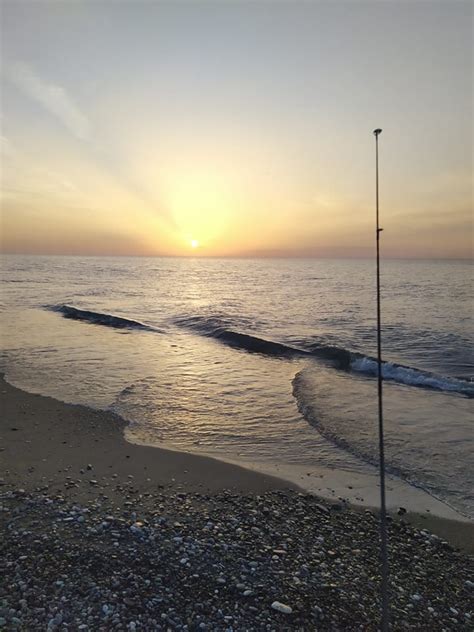შავ ზღვაზე მეთევზეთა ჯგუფი