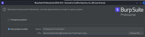 burp suite collaborator recovery
