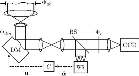 Figure From Reinforcement Learning Based Wavefront Sensorless Adaptive Optics Approaches For