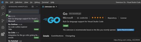 win10下 搭建golang vscode开发环境（图文并茂，傻瓜式教程） win10 vscode go语言开发 csdn博客