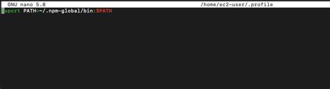 Nodejs Bash Pm2 Command Not Found Error On Ec2 Stack Overflow