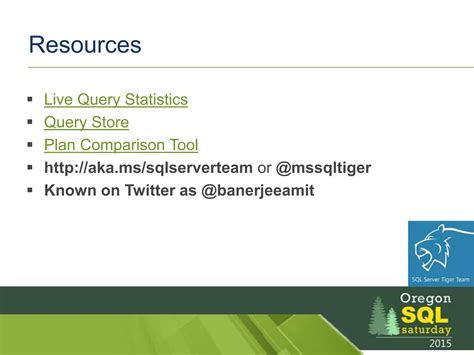 Slow Query Bring It On Ppt