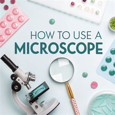 Definitive Guide On How To Use A Microscope