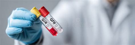 Lab Technician Presents Gfr Test Results In A Clean And Minimal Setting Emphasizing The