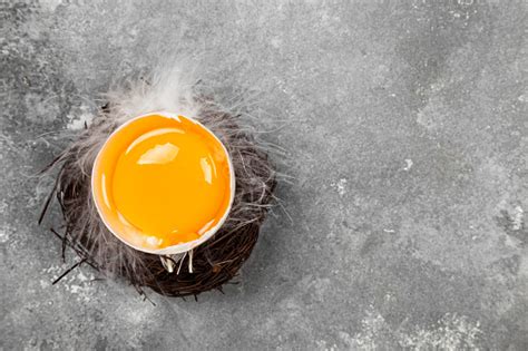 달걀 노 른 자 회색 배경에 둥지에 보기 상위 공간을 복사 합니다 음식 배경 가금류에 대한 스톡 사진 및 기타 이미지 가금류 갈색 개념 Istock