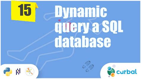 Bite 15 Dynamically Query A Sql Database In Python Curbal
