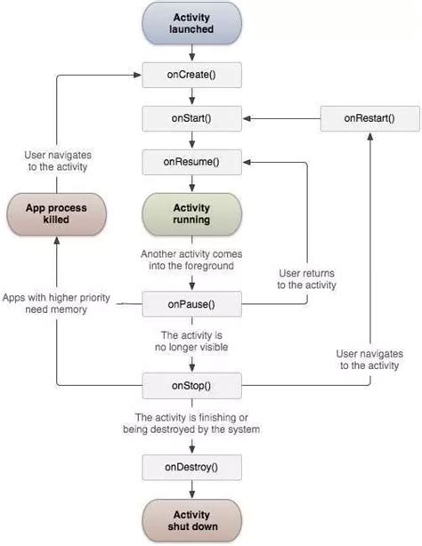 Activity và Fragment trong Android