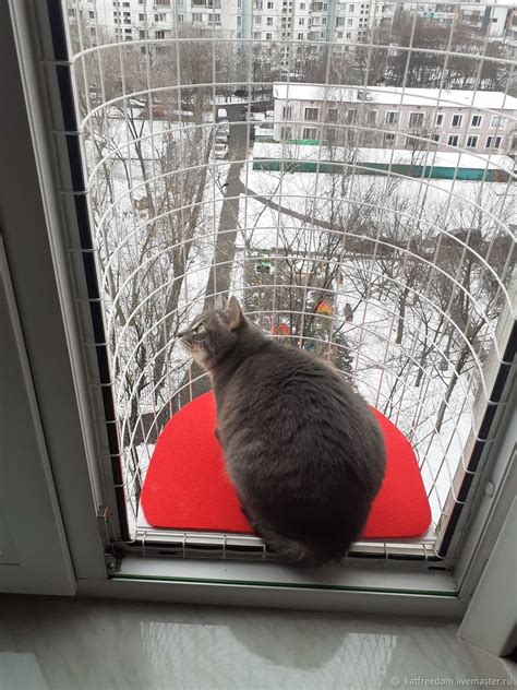 Сетки на окна антикошка 71 фото красивые картинки и Hd фото