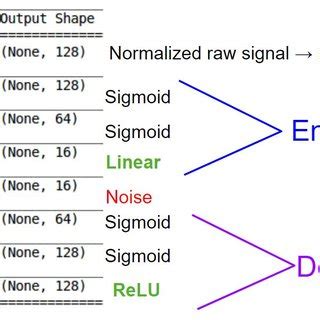 Design Of The Autoencoder Download Scientific Diagram
