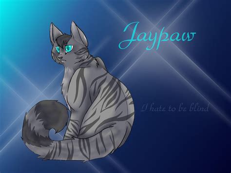 Warrior Cats Wallpapers Wallpaper Cave