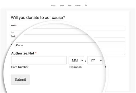 How To Customize The Authorize Net Credit Card Field
