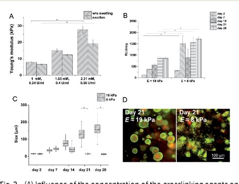 Figure 1 From Creating A 3d Microenvironment For Monocyte Cultivation Ecm Mimicking Hydrogels